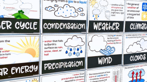 Interactive Science Word Wall: Creative Learning Activities – Little ...